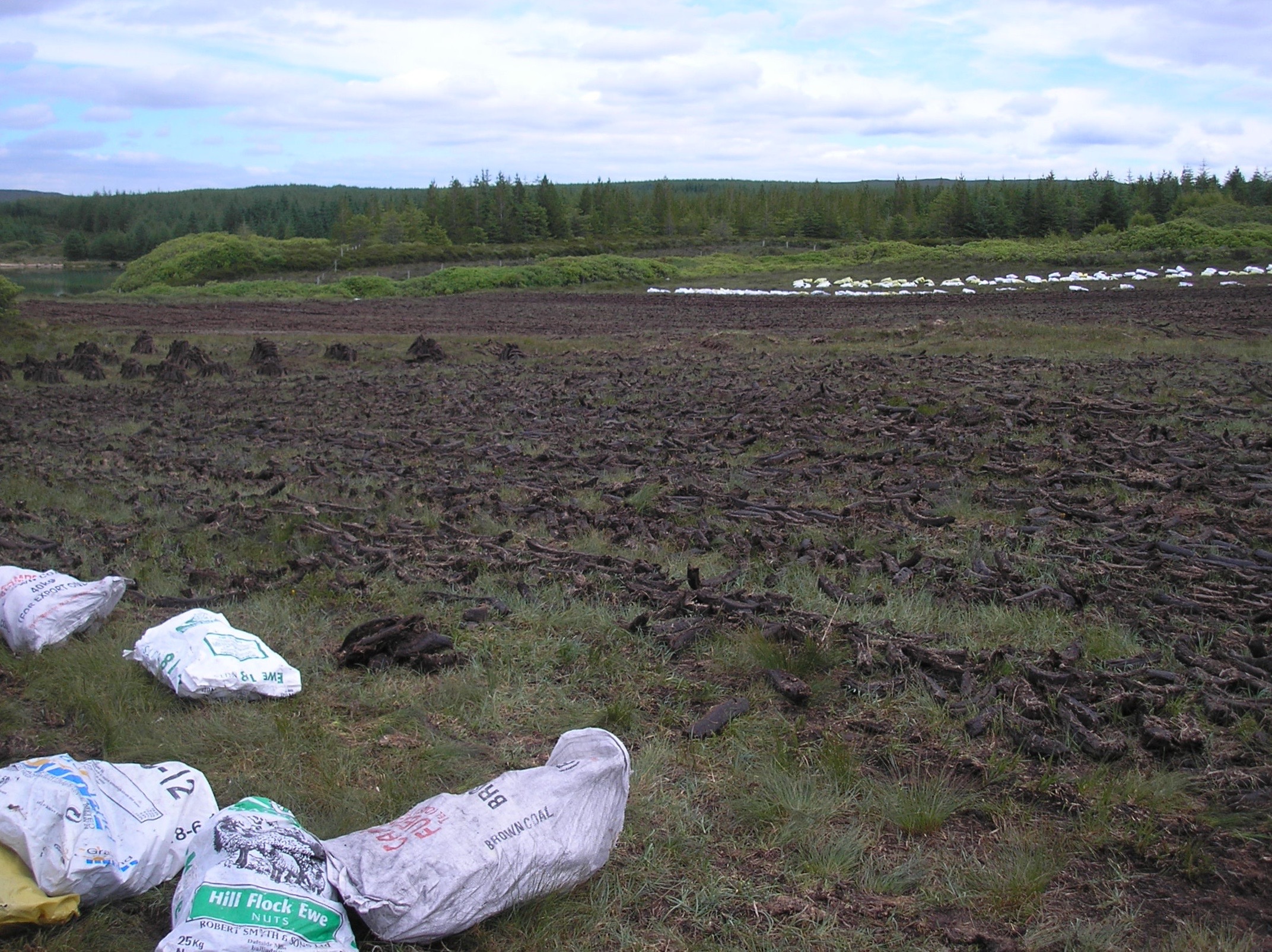The First Scientific Investigation of a Bog Body, 1781 – Historianka